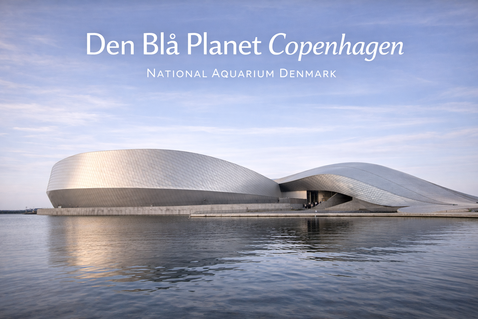 Den Blå Planet Copenhagen: Tickets, Opening Hours, How to Get There ...